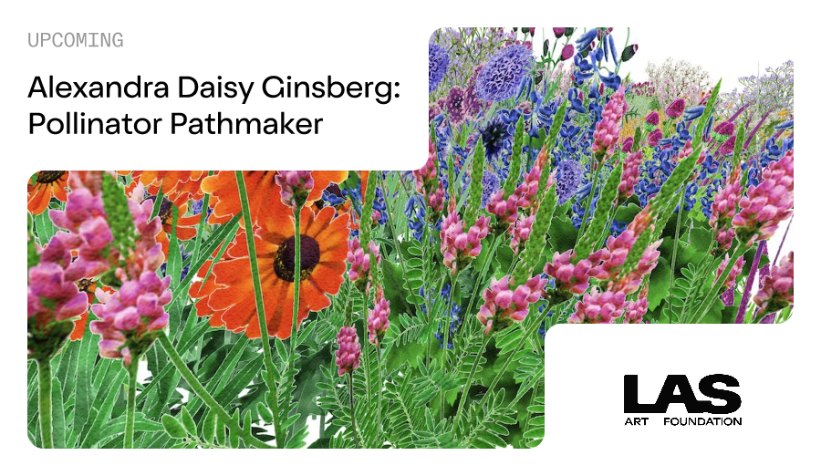 Pollinator Pathmaker | LAS Art Foundation